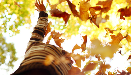 Safe & sane COVID staycation ideas: 15 must-do fall activities