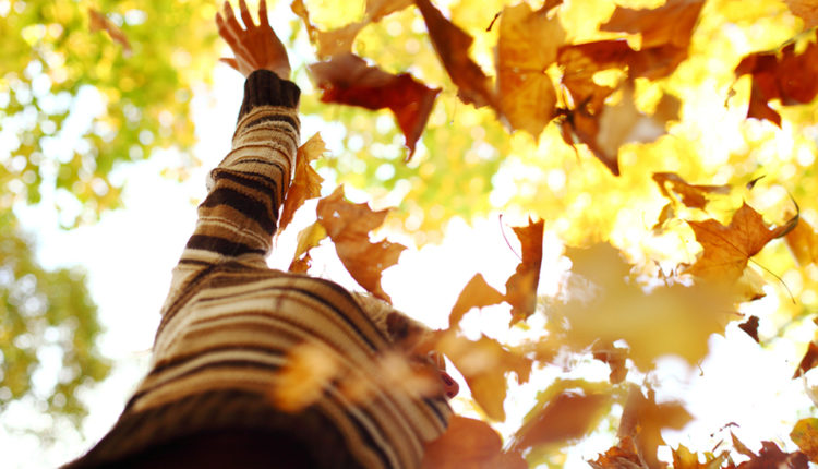 Safe & sane COVID staycation ideas: 15 must-do fall activities