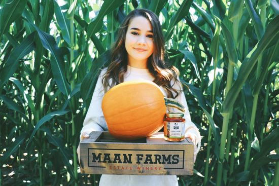 Safe & sane COVID staycation ideas: 15 must-do fall activities