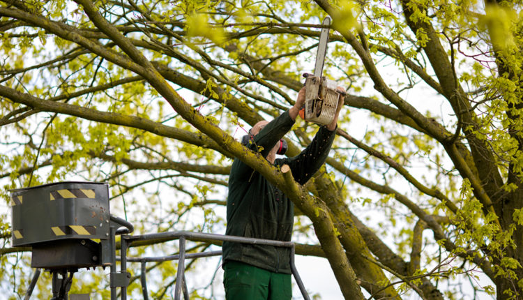 11 hurricane preparedness tips you can use this weekend